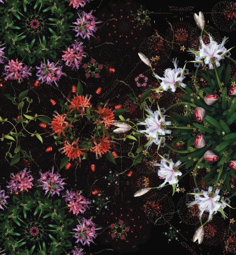 Lisa Creagh: The Flower of Life – ROSA Magazine